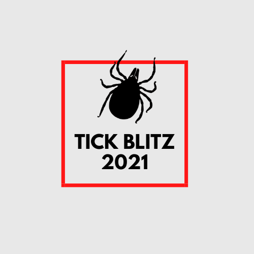 Tick Blitz 2021
